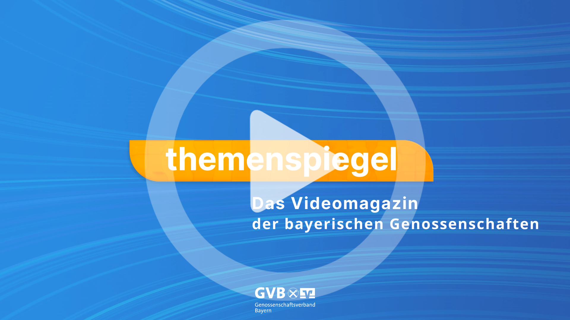 Gemeinschaft ist unser Beat: Sommerspiele und Genossenschaftsjahr - 1 - 2025 - Artikel - gvb/website